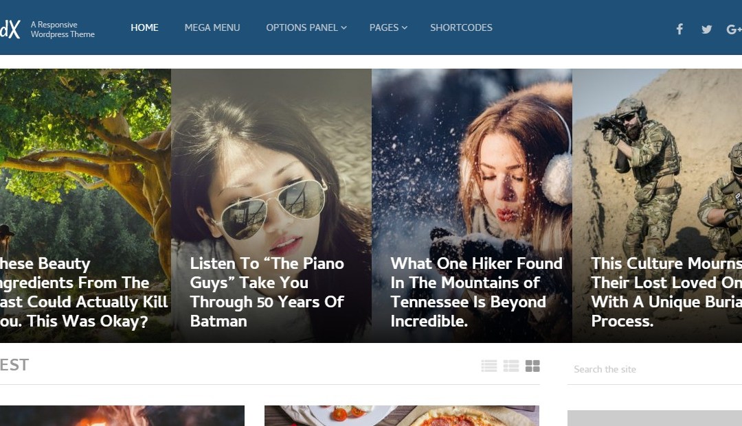 10 Best WordPress Themes for AdSense with High CTR